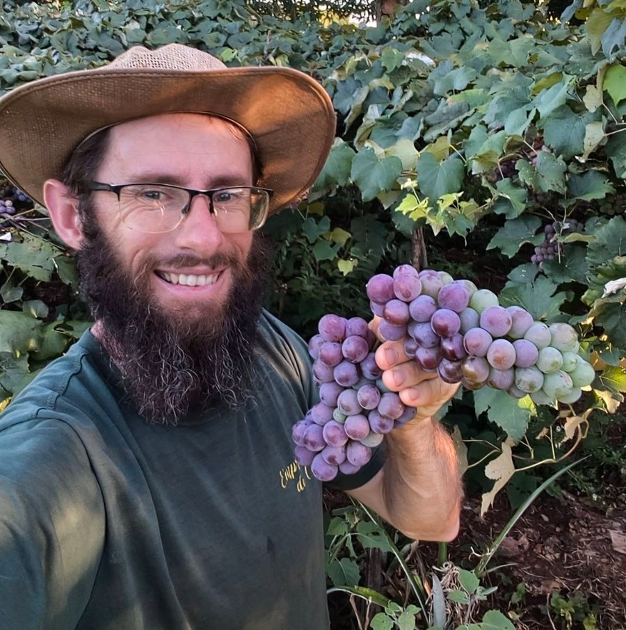 O enoturismo está crescendo no RS — e a Fronteira Noroeste faz parte ...